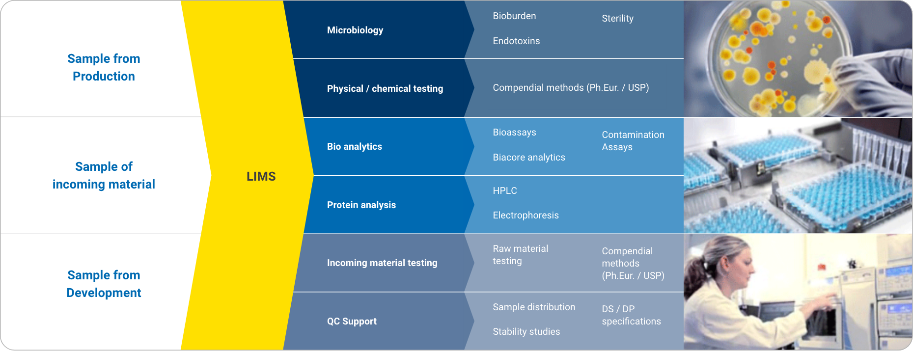 Analytical Development
